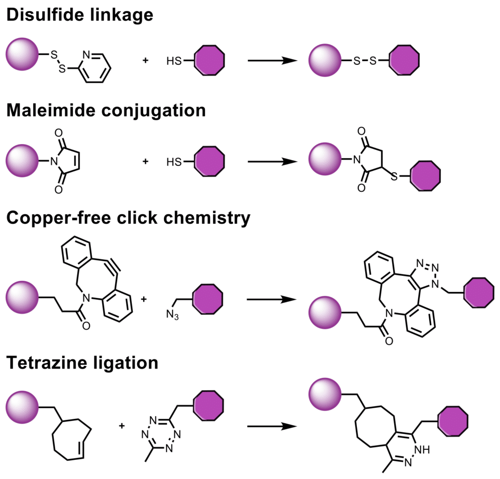 Linkers and Conjugation Chemistry | Symeres