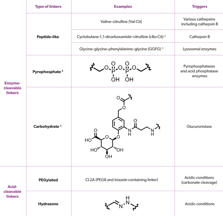 Linkers and Conjugation Chemistry | Symeres
